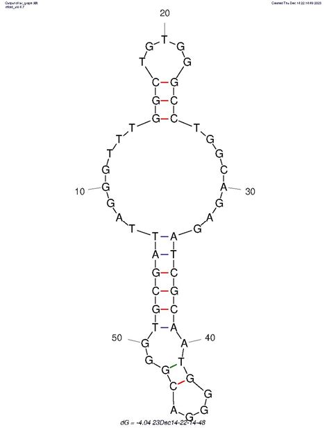 Cov Spike Protein Circular Aptamer