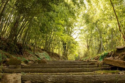 รูปภาพinterpose เลือกดูภาพถ่ายสต็อก เวกเตอร์ และวิดีโอ6 841 Adobe Stock