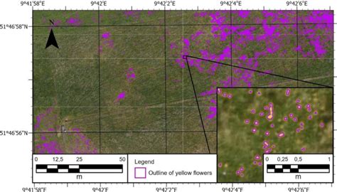 Example Of A Deep Learning Based Flower Detection Of A Uav Orthophoto
