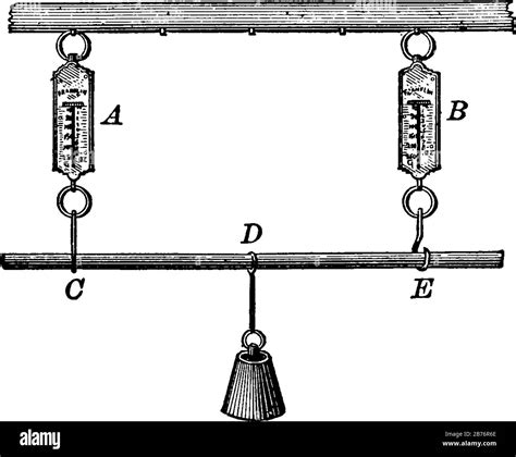 Labelled Diagram Of Spring Balance At Evelyn Bromley Blog