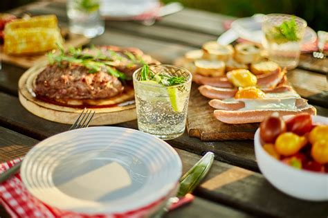 접시 식탁 신선한 공기에 집 뒤뜰에서 여름 피크닉 야외 제공 구운 야채 레모네이드 스테이크 카망베르 치즈와 함께 파티에서 제공되는 다양한 전채 요리 굽기에 대한 스톡 사진