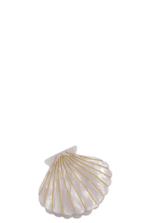 Hair Clip Shell Small 5563512