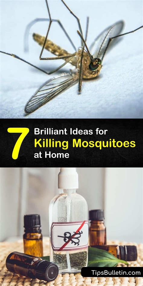 7 Brilliant Ideas For Killing Mosquitoes At Home Kill Mosquitos