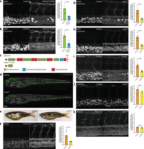 Directing Nanoparticle Biodistribution Through Evasion And Exploitation