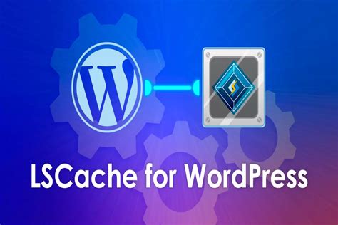 LiteSpeed Cache The Best Settings For WordPress Websites