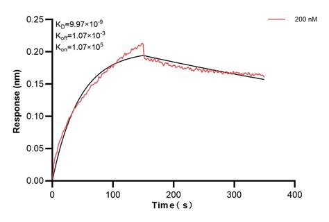 Orm2 Antibody 83135 4 Pbs Proteintech
