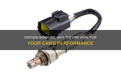 Oxygen Sensors Why Theyre Vital For Your Cars Performance Shunauto