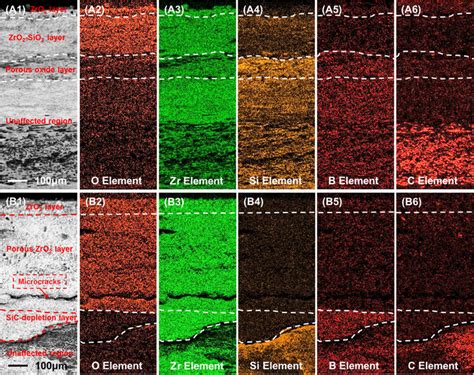 cross‐section microstructures and energy‐dispersive spectroscopy eds