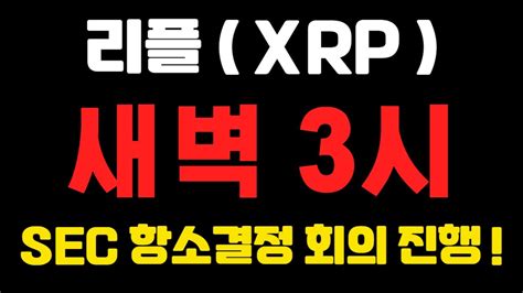 리플코인 새벽3시 Sec 항소결정 회의 진행 불독코인프리세일코인시바이누코인리플이더리움도지코인코인단타