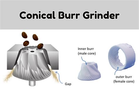 Conical Vs Flat Burr Grinder Whats The Difference And Which Should