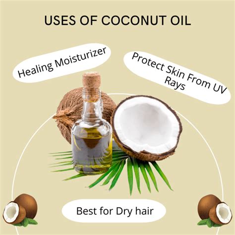 Cocoa Butter Vs Coconut Oil Which Is Better For Skin