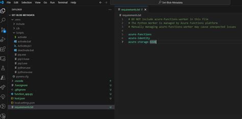Set Up Python Function App For Azure Blob Metadata
