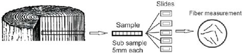 Figure 1 From Using Segmented Linear Regression To Identify Juvenile