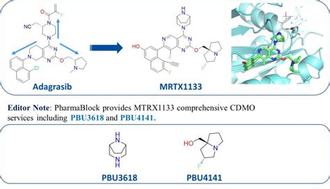 lisha wang on linkedin mrtx1133：a first in class kras g12d inhibitor author miao xu reviewer