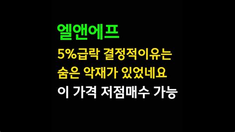 엘앤에프 큰폭의 하락 결정적인 이유가 있었네요 집중분석 엘앤에프 엘앤에프주가 Youtube