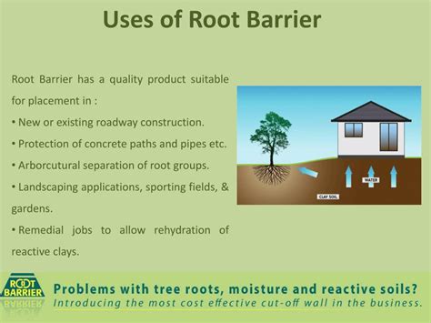 PPT Tree Max Root Barrier Cost Effective Prevent Root And Moisture Stabilisation Solution