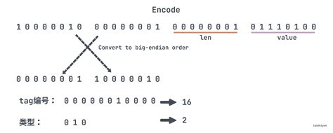 Protobuf Guide Sobyte