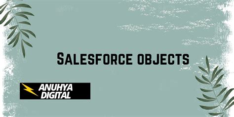 Introduction To Salesforce Objects Learn Salesforce With Anuhya Digital
