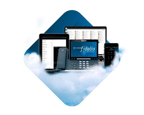 Business Internet Services Fidalia Networks