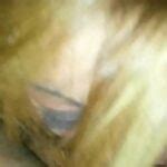 Videos De Travestis Negras Pirocudas Porno Travesti