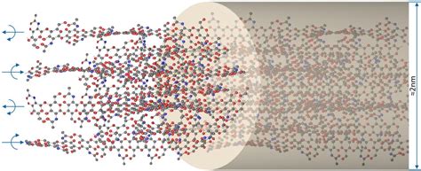 A Schematic View Of An Alpha Chitin Nanofiber Structure Download Scientific Diagram