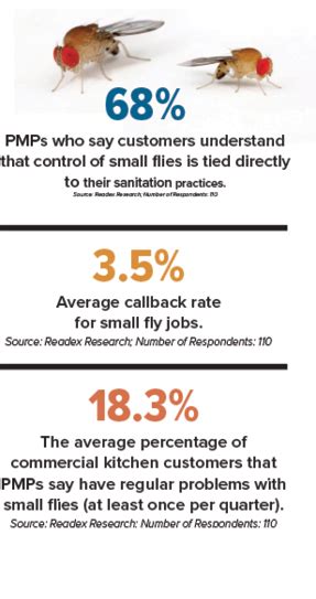 Why Treatment Follows Source Reduction Pest Control Technology