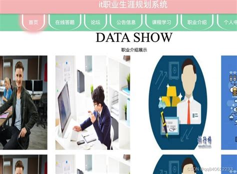 Javaweb的 It职业生涯规划系统 Springboot Vue职业生涯交互展示界面 Web Csdn博客