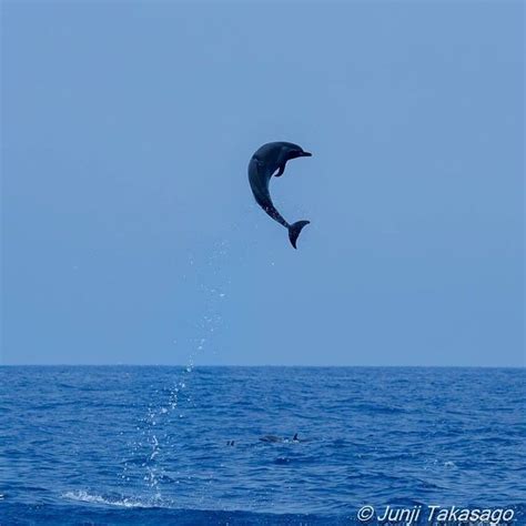 高砂淳二 Junji Takasago On Instagram 高砂淳二写真展light On Life ニコンプラザ大阪the Galleryで開催中。明日18日は10時半から6