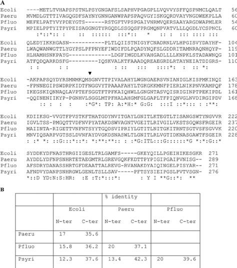 Sequence Alignment Of The Different Colicin M Homologues A Sequences Download Scientific
