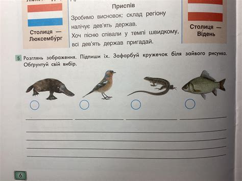 Розглянь зображення Підпиши їх Зафарбуй кружечок біля зайвого рисунка Обґрунтуй свій вибір