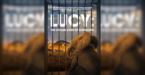 Lucy Interview With Leap Founder Mary Ann Holm The Gateway