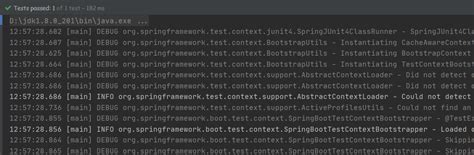 Spring Boot Test Class Start Error Javalangexception No Runnable
