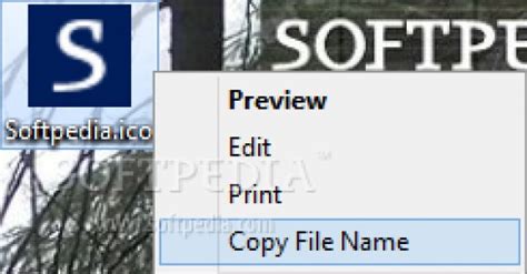 Copy File Name Download Softpedia