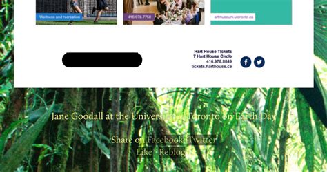 CSS Background Color To Text On Posts Tumblr Stack Overflow