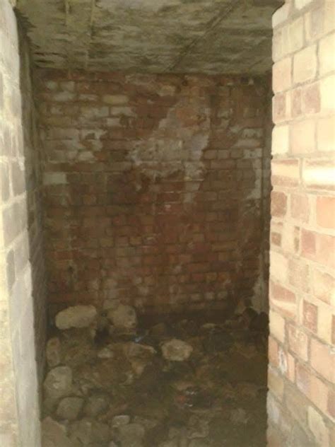 Exploring With Beau Added A New Photo Exploring With Beau