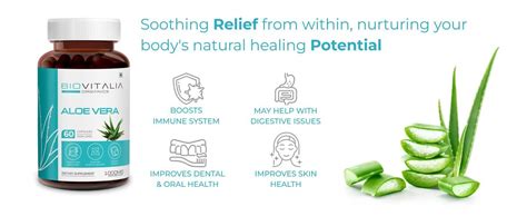 Buy Pure Aloe Vera Supplement Capsules Digestive And Skin Nourishment