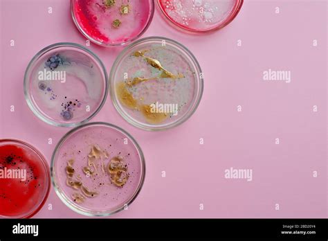 Bacteriological Method By At Stanley Blake Blog