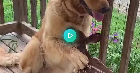 Were Bffs Now Can I Keep Him Album On Imgur