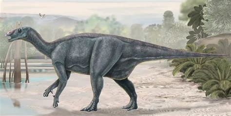 Conoce A Estos 10 Dinosaurios Herbívoros Dinosaurland