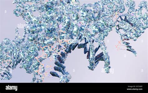 Molecular Structure Of Human Antigen Protein P53 Complexed With Dna Biological Concept