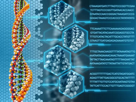 Software Analyzes Human Genome In As Little As 90 Minutes