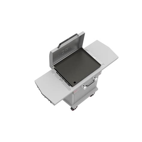 Loco Cookers Griddle Chalk 2 Burner Liquid Propane Gas Grill In The Gas