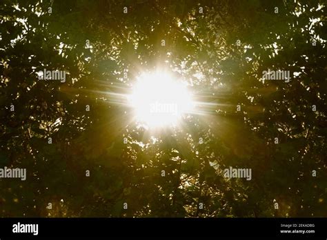 Sun Shining Through Trees Stock Photo Alamy