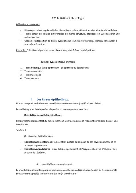 Bio Veg Tp1 Histologie Warning Tt Undefined Function 32 Tp1