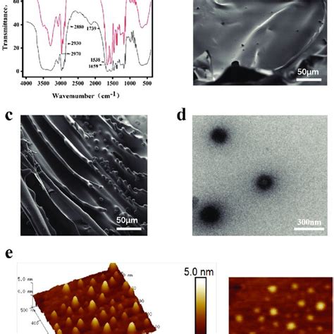 characterization of temperature sensitive properties of nipam co aa