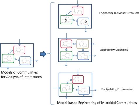 Genome Scale Models For Analyzing And Engineering Metabolic Download Scientific Diagram