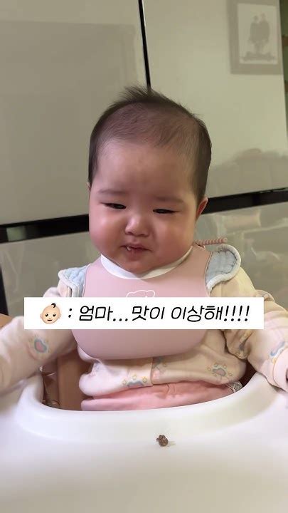 211일 아기 한 입 먹을 때마다 반응이 남다른 아기🤣 이유식 이유식먹방 육아브이로그 아기쇼츠 Shorts Youtube