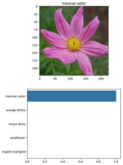 Classifying Flower Species Using Pytorch