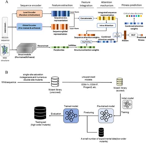 Architecture Of Model And The Schematic Of Data Augmentation Strategy