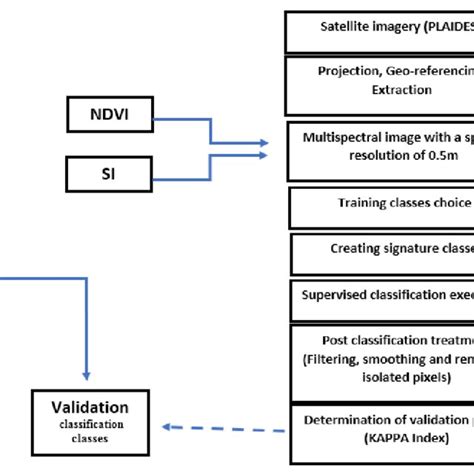 Diagrammatic Description Of Pleiades Satellite Imagery Processing